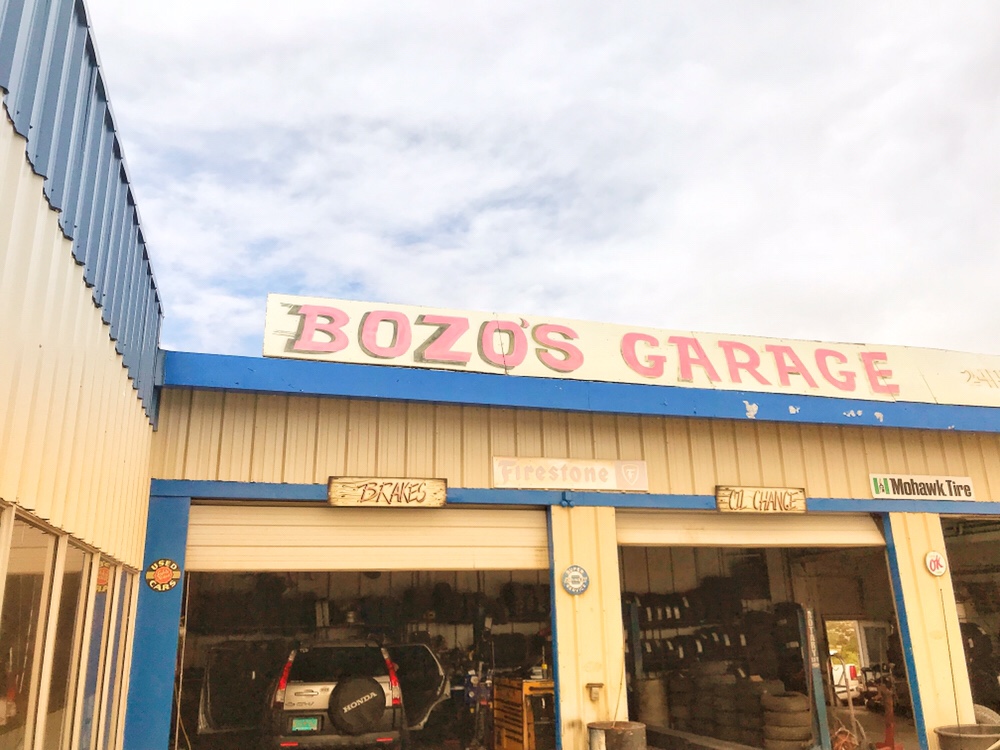 Bozo the Boss – The Soothing Life